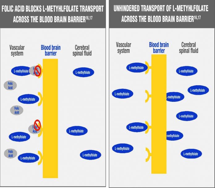My Guide to MTHFR Gene Mutation, MTHFR Testing & Treatment