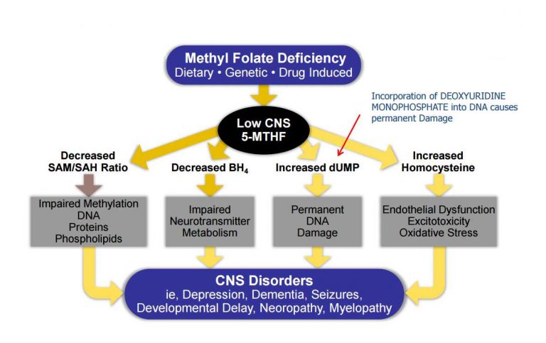 My Guide to MTHFR Gene Mutation, MTHFR Testing & Treatment