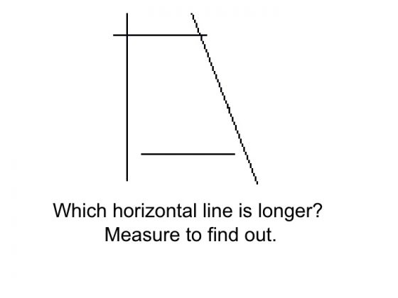 Can Your Eyes See Past these Challenging Line Illusions?
